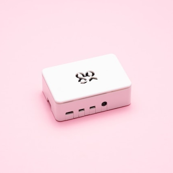 Digital Camera EOS R100 - Cora-nation